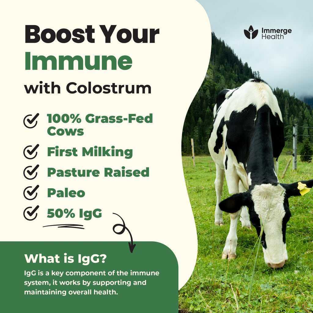 Gut health support with colostrum powder