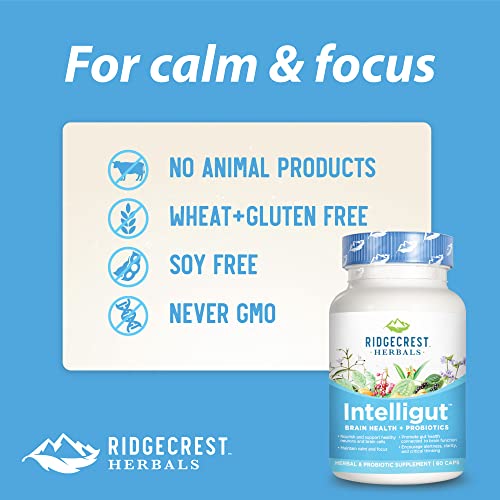 gut health support with herbal blend