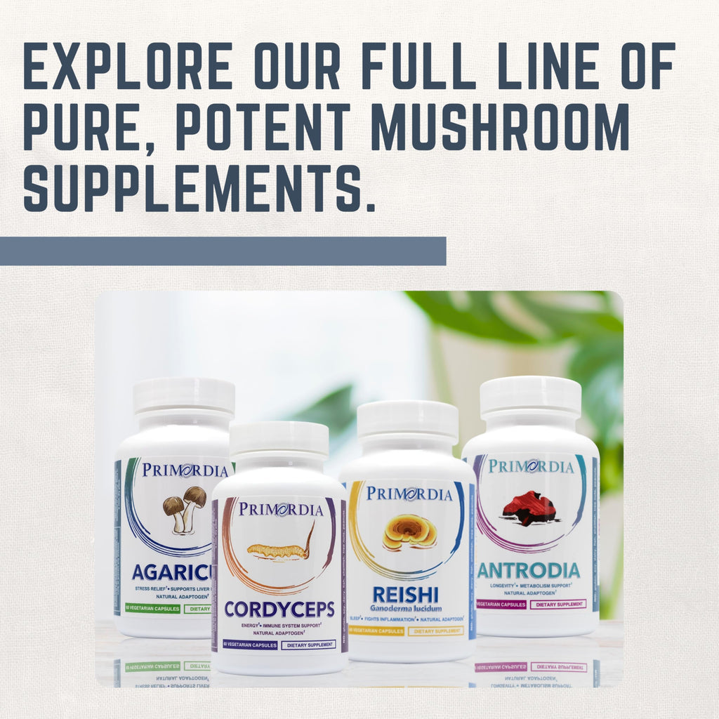 Gut health support with mushroom extract
