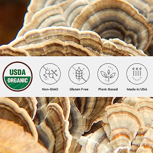 gut health support with mushrooms