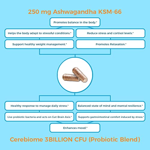 Gut health support with probiotics