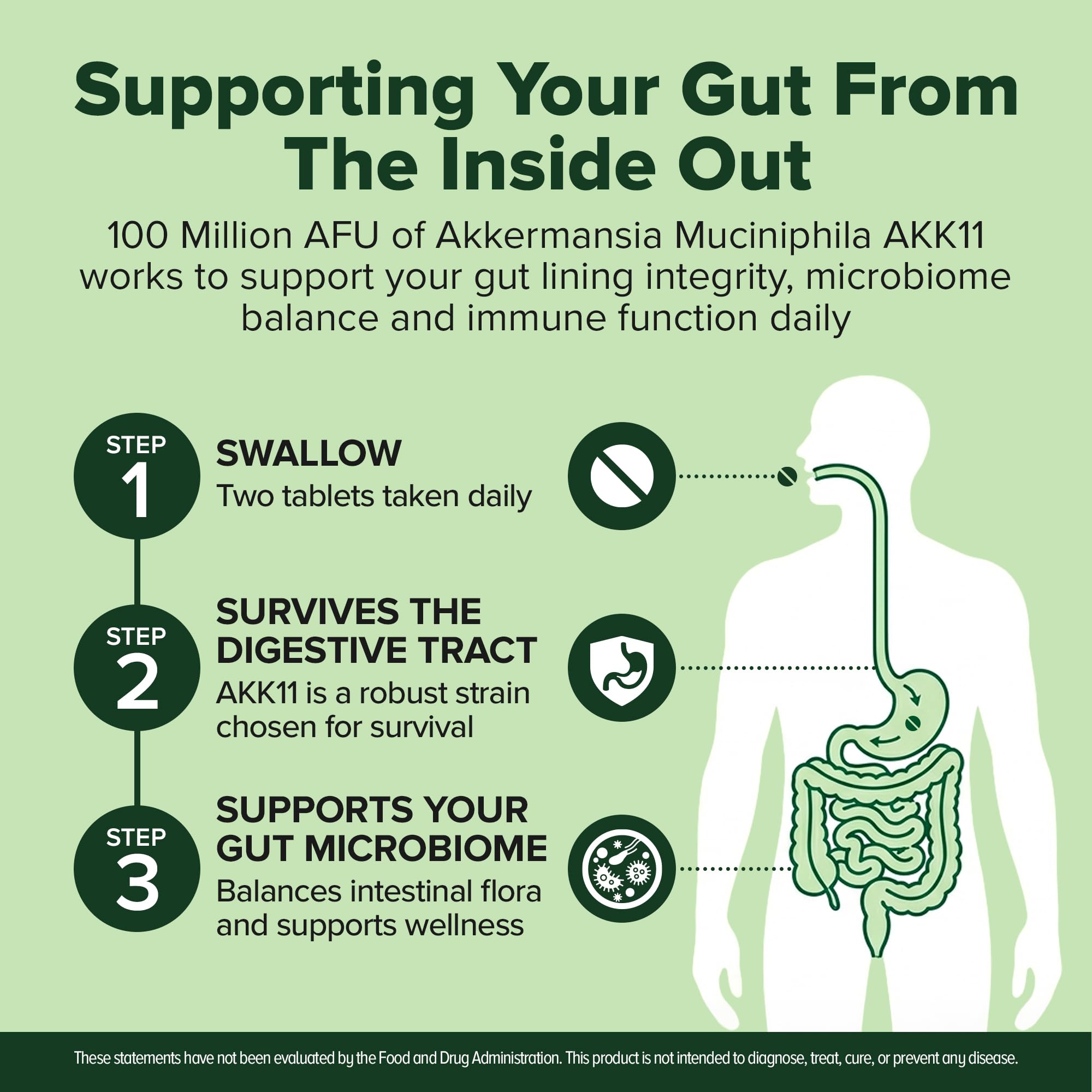 Gut health support with probiotics