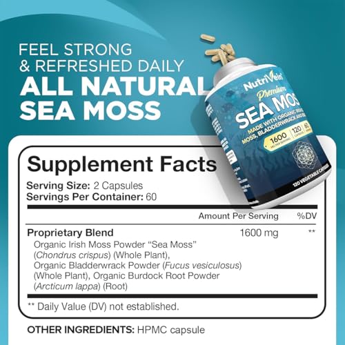 gut health support with sea moss