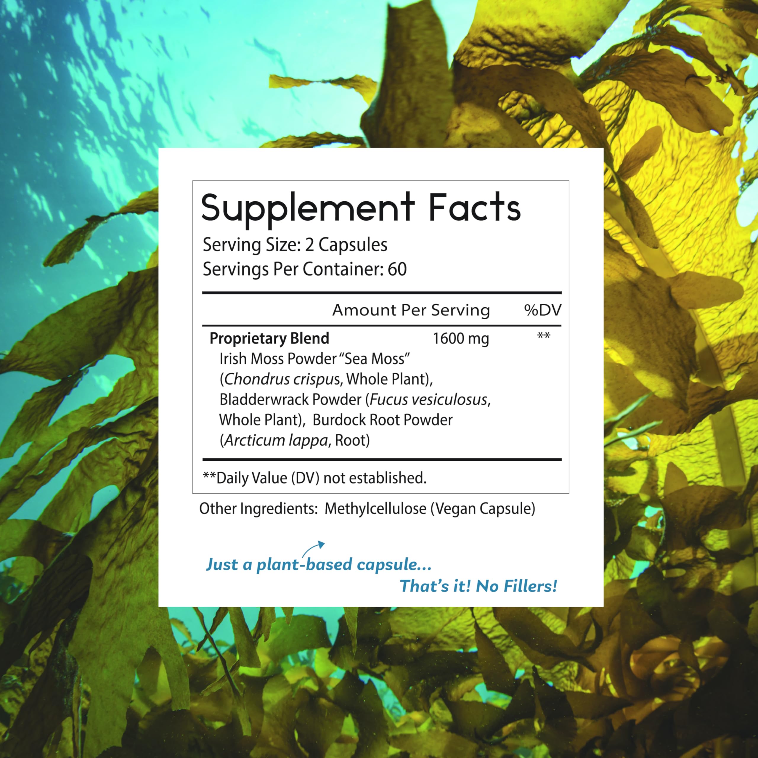 gut health support with sea moss