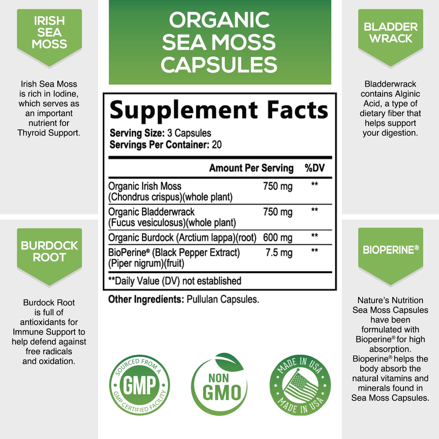gut health support with sea moss