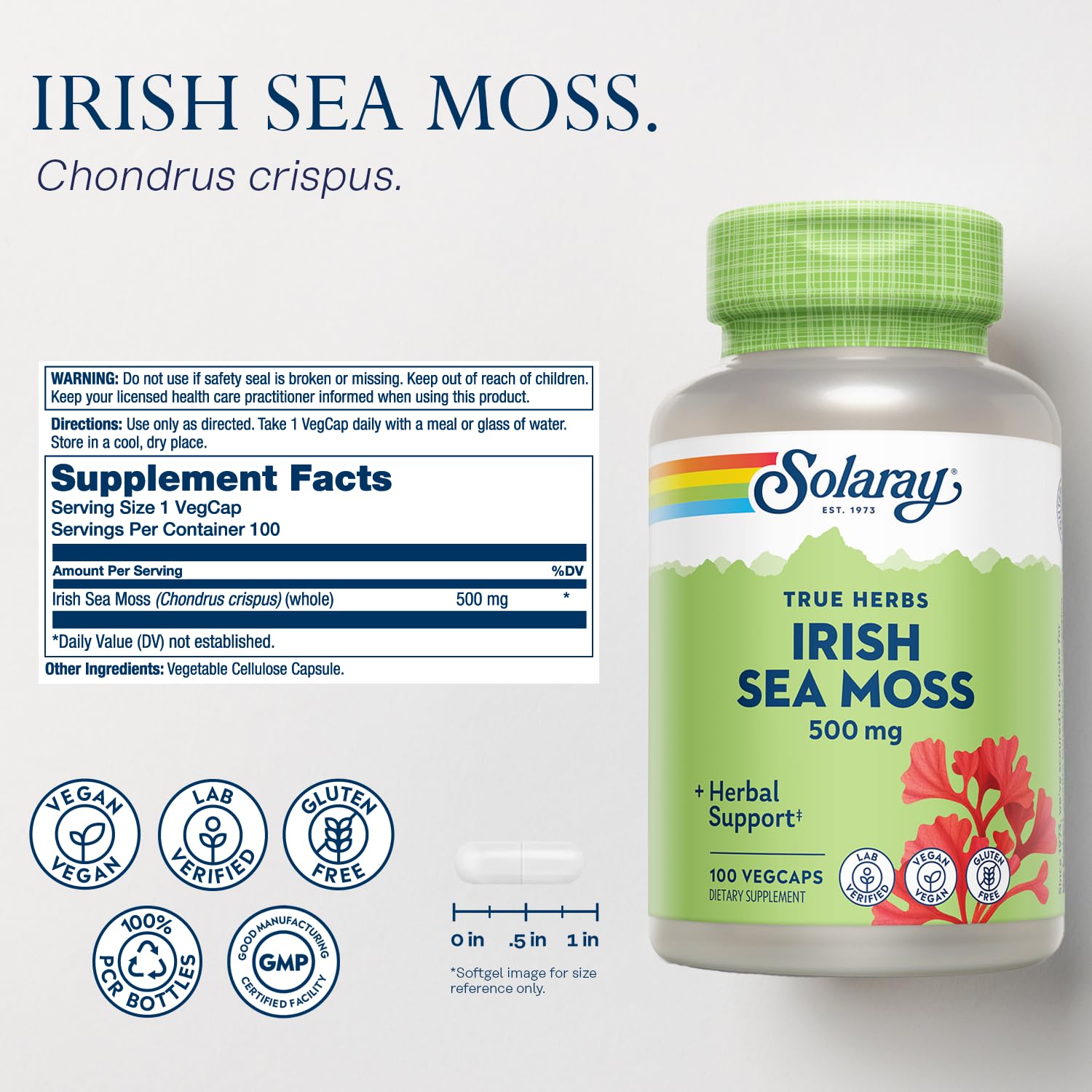gut health support with sea moss