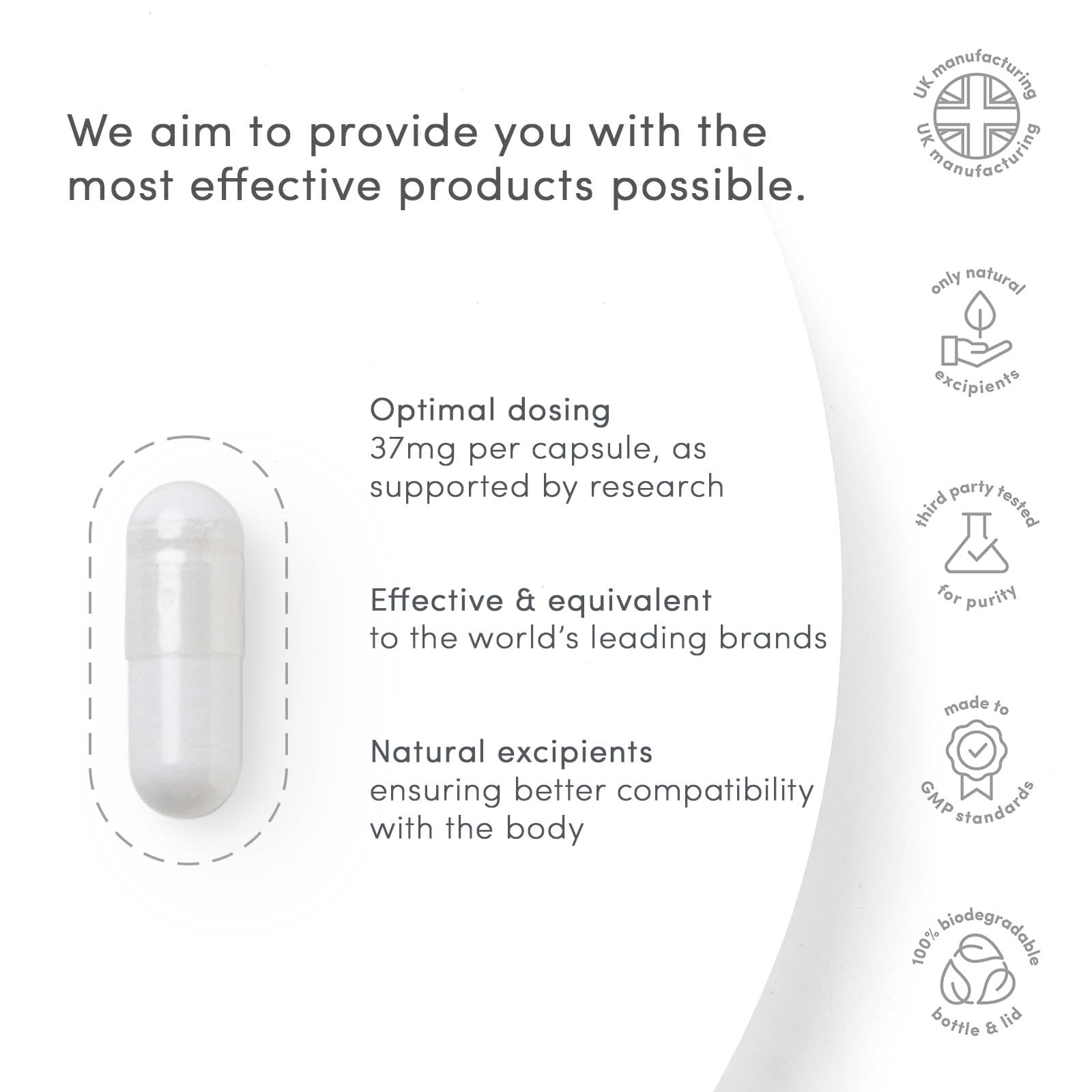 gut health support with zinc