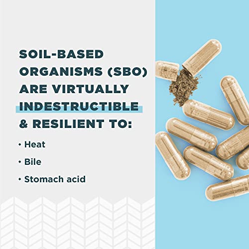 Gut restore probiotics for wellness