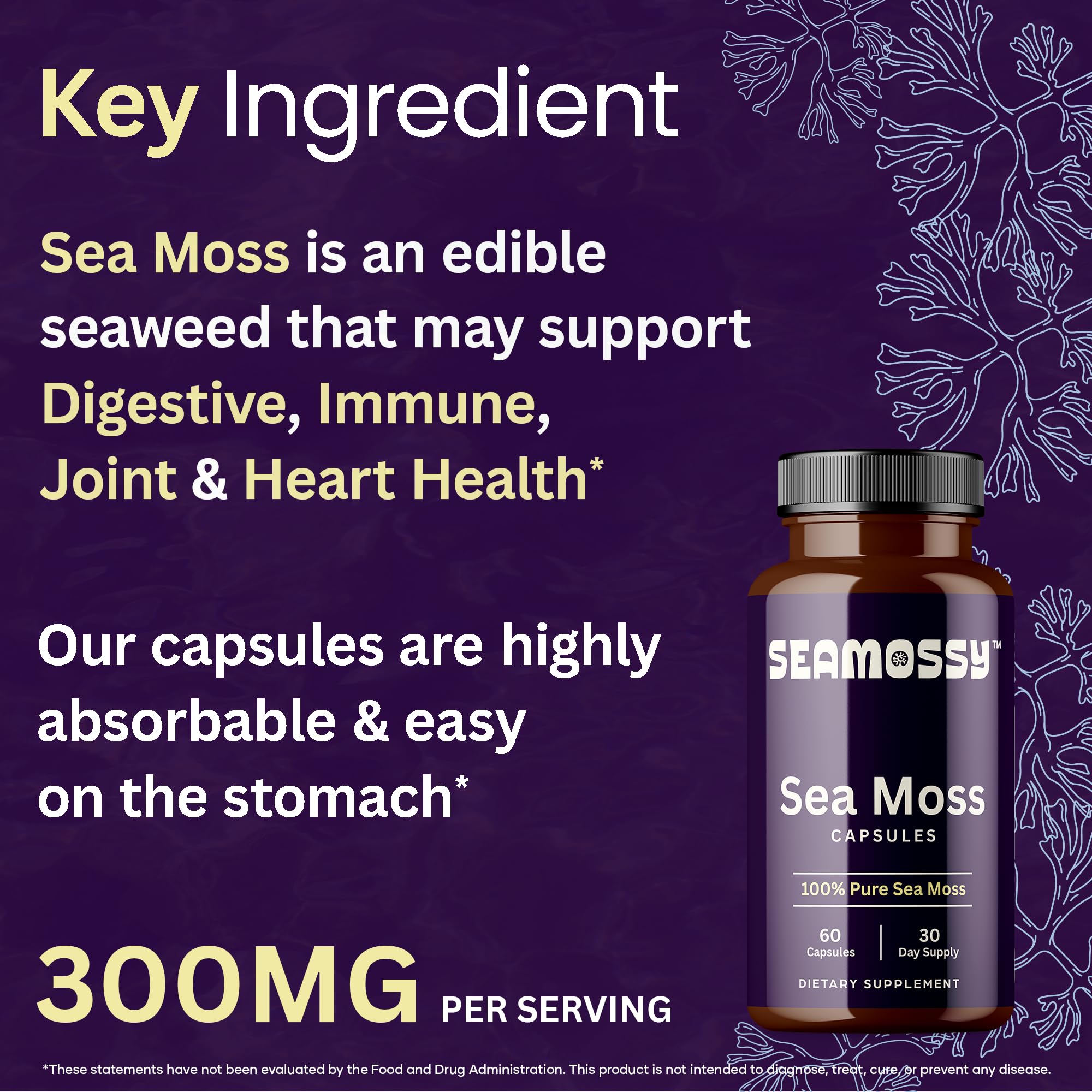 gut support multiminerals for wellness