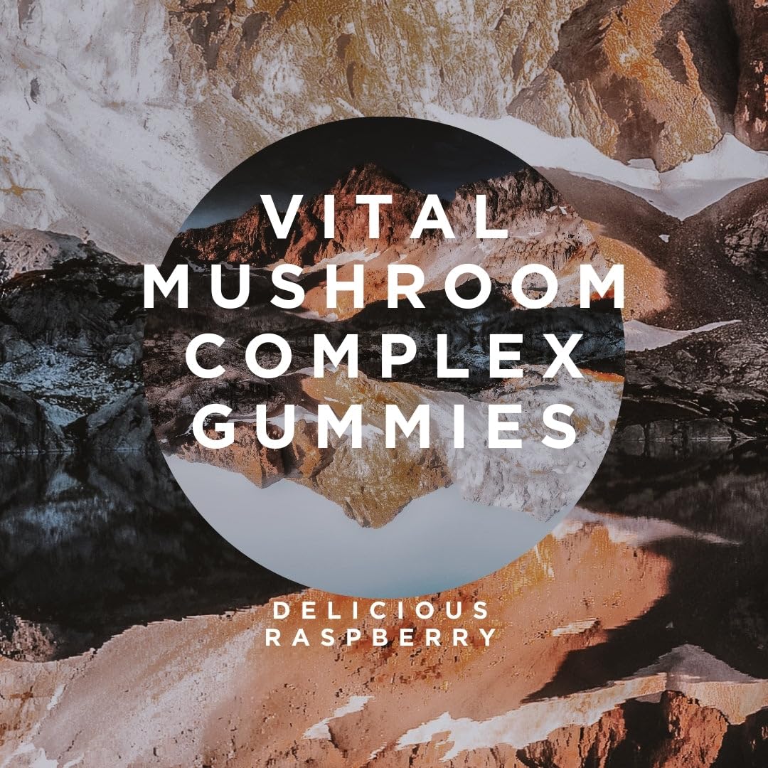 Gut support with Vital Mushroom blend