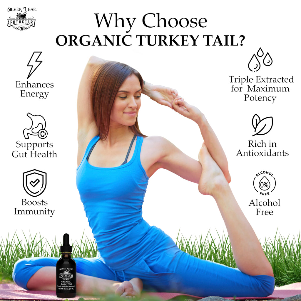 gut wellness mushroom extract