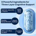 GutBrain whole food multivitamin benefits