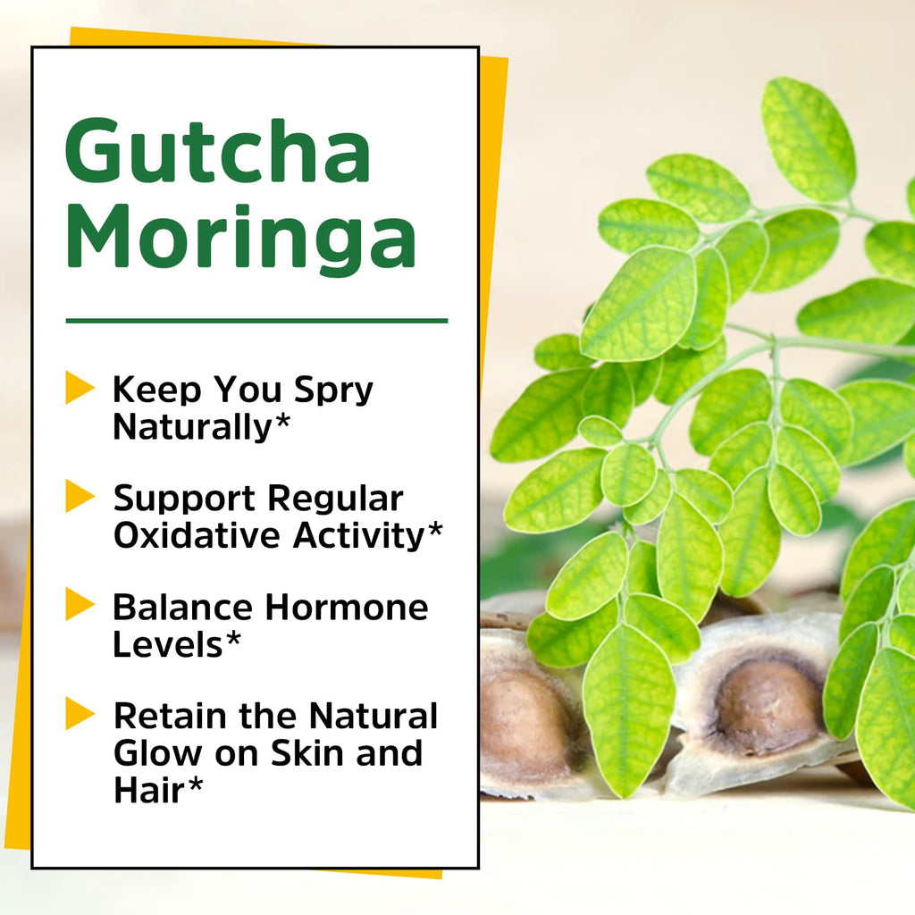 Gutcha blended vitamin for daily wellness