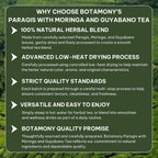 Guyabano tea for digestive health