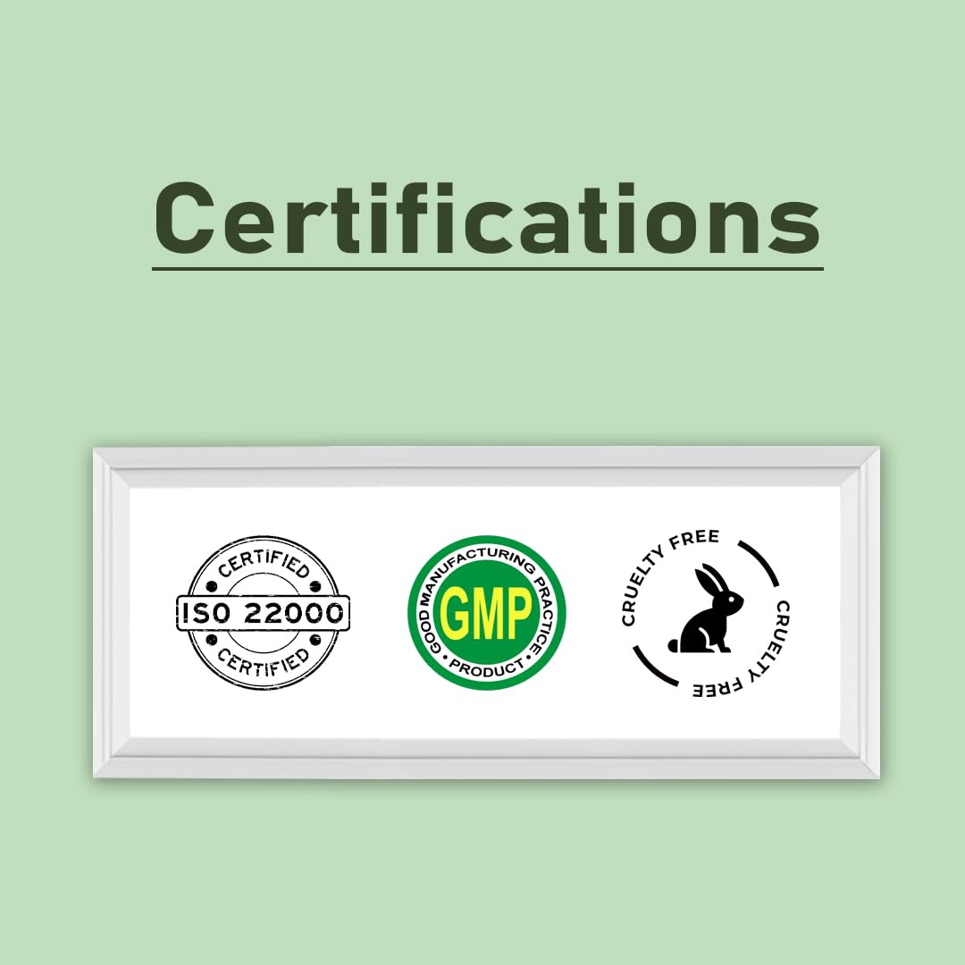 gymnema for balanced energy levels