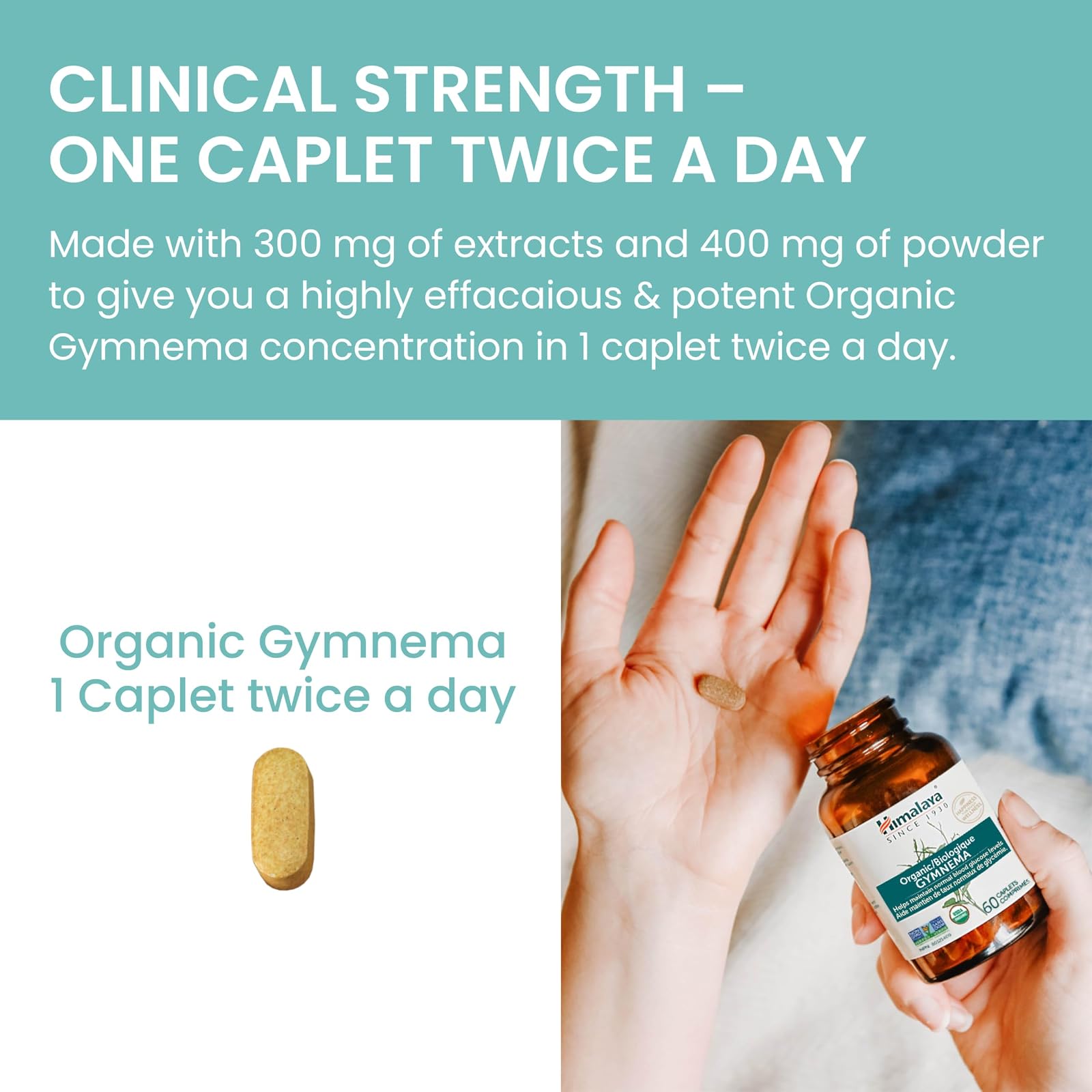 Gymnema Sylvestre 700 mg for balanced lifestyle
