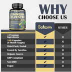 gymnema sylvestre extract for appetite control