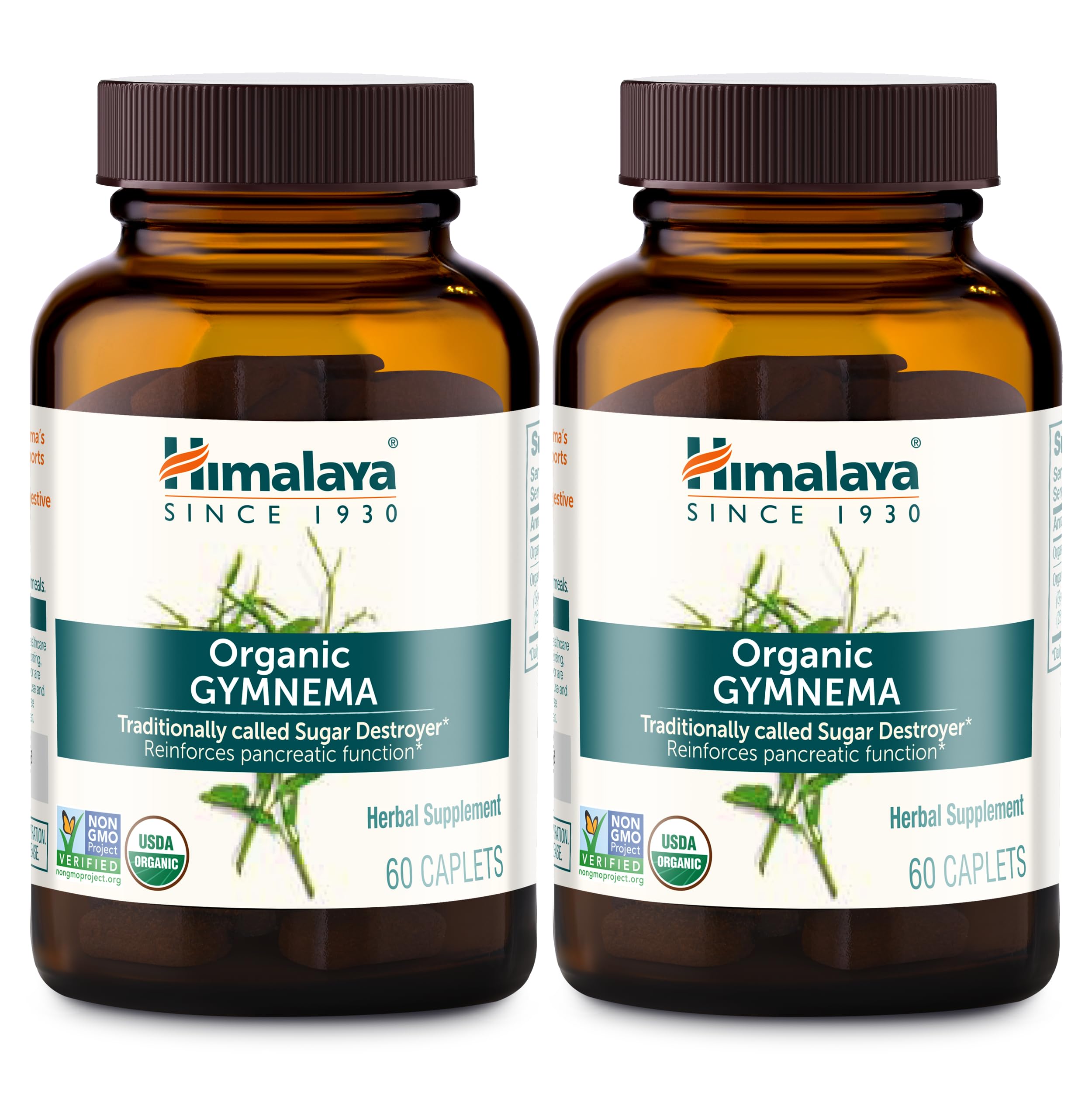 gymnema sylvestre extract for glucose support