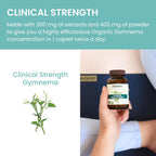 Gymnema Sylvestre for balanced wellness