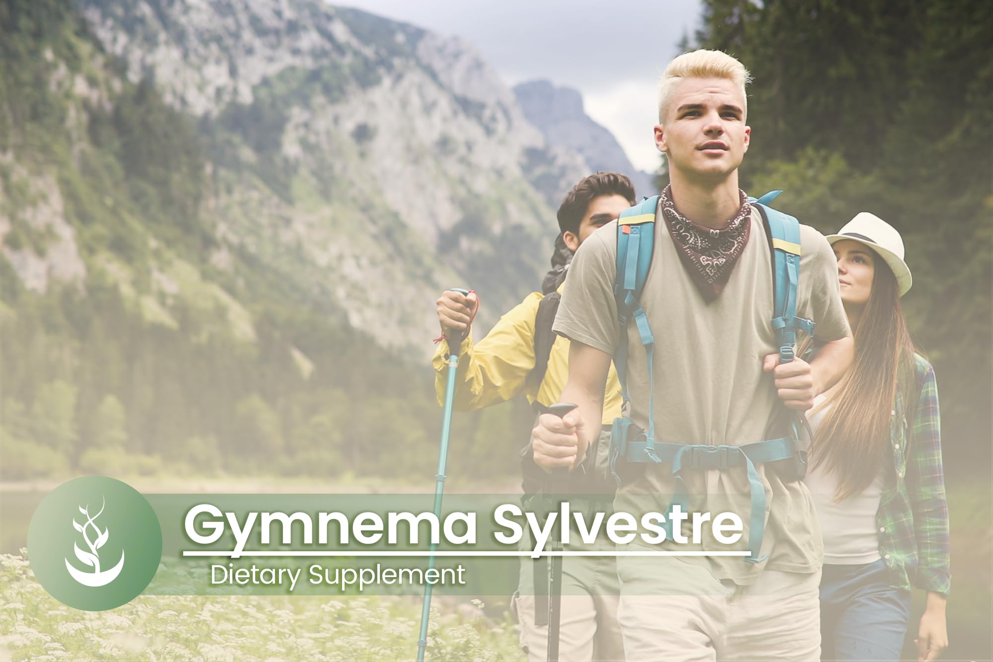 gymnema sylvestre for blood sugar support
