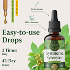 Gymnema Sylvestre for blood sugar