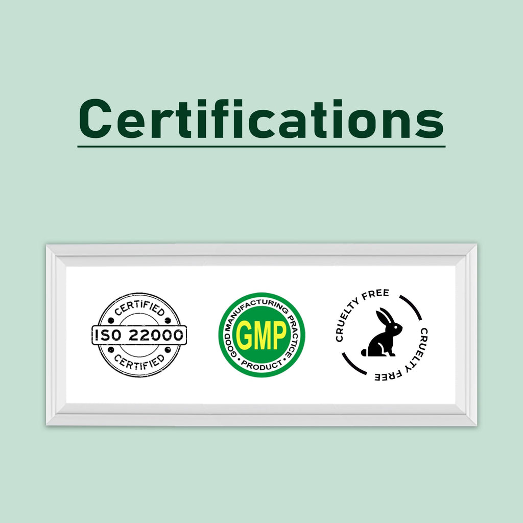 gymnema sylvestre for digestive health