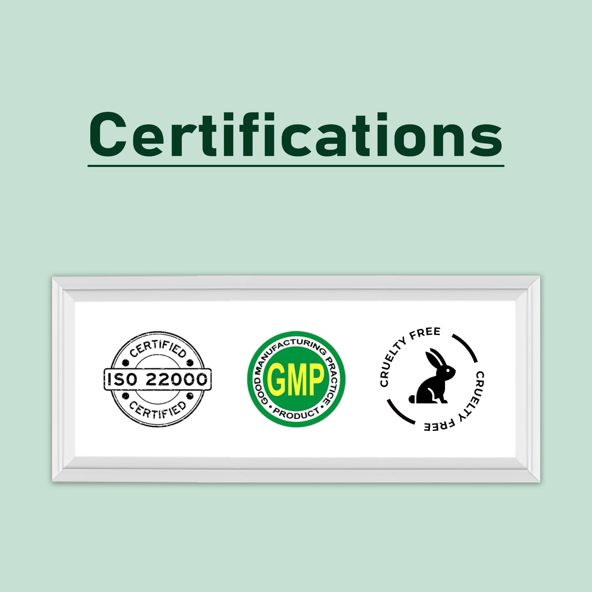 gymnema sylvestre for digestive health