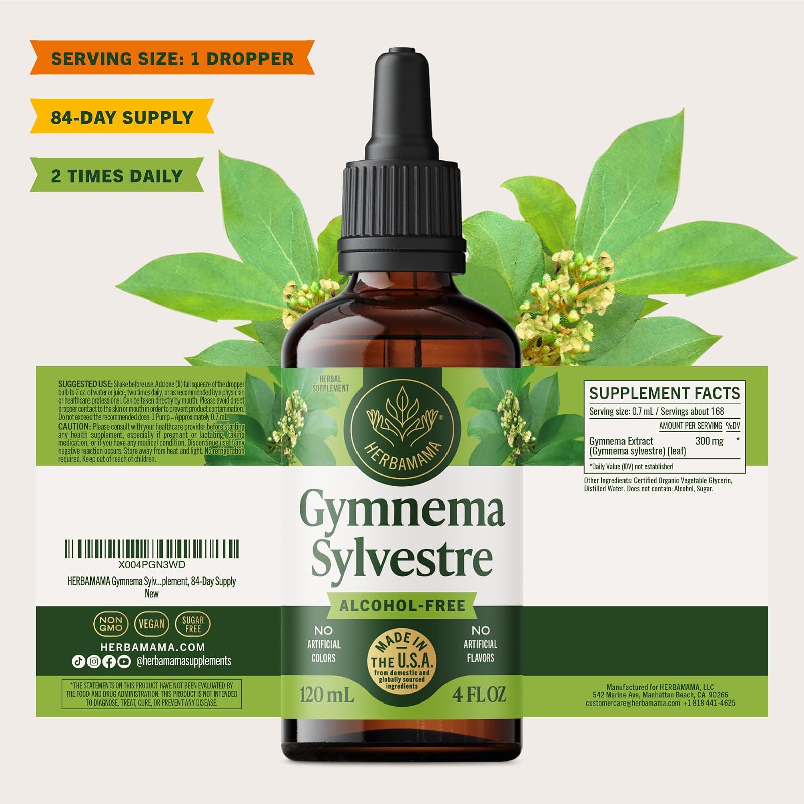 Gymnema Sylvestre for wellness