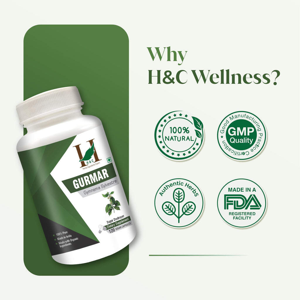 gymnema sylvestre herbal remedy benefits