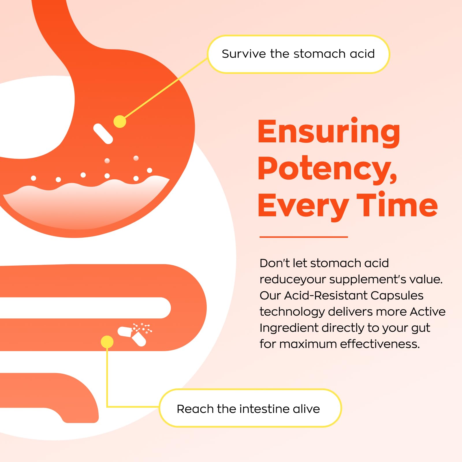 Gynable Urolithin A for overall wellness