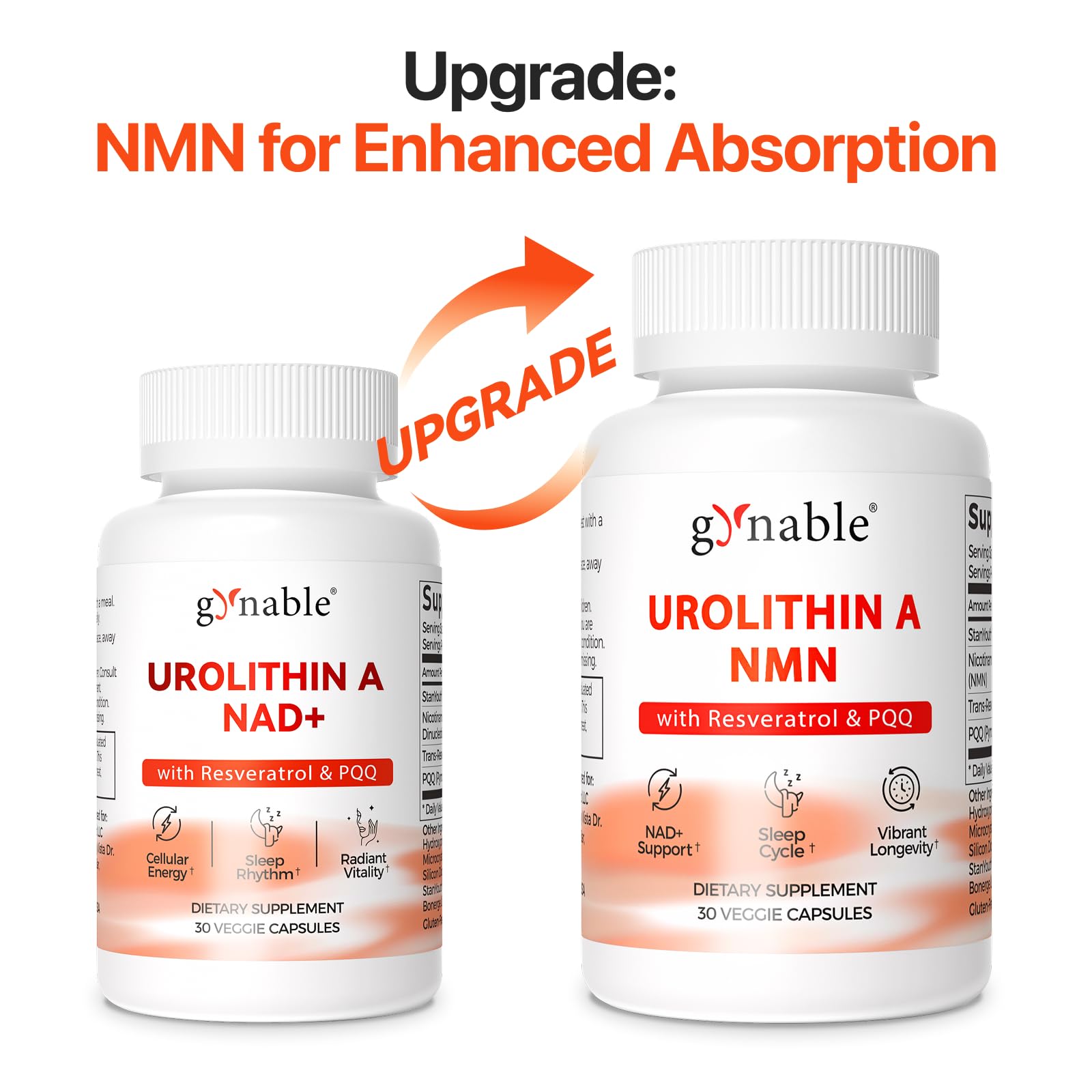Gynable Urolithin A gummy multivitamin alternative