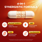 Gynable Urolithin A kids multivitamin option