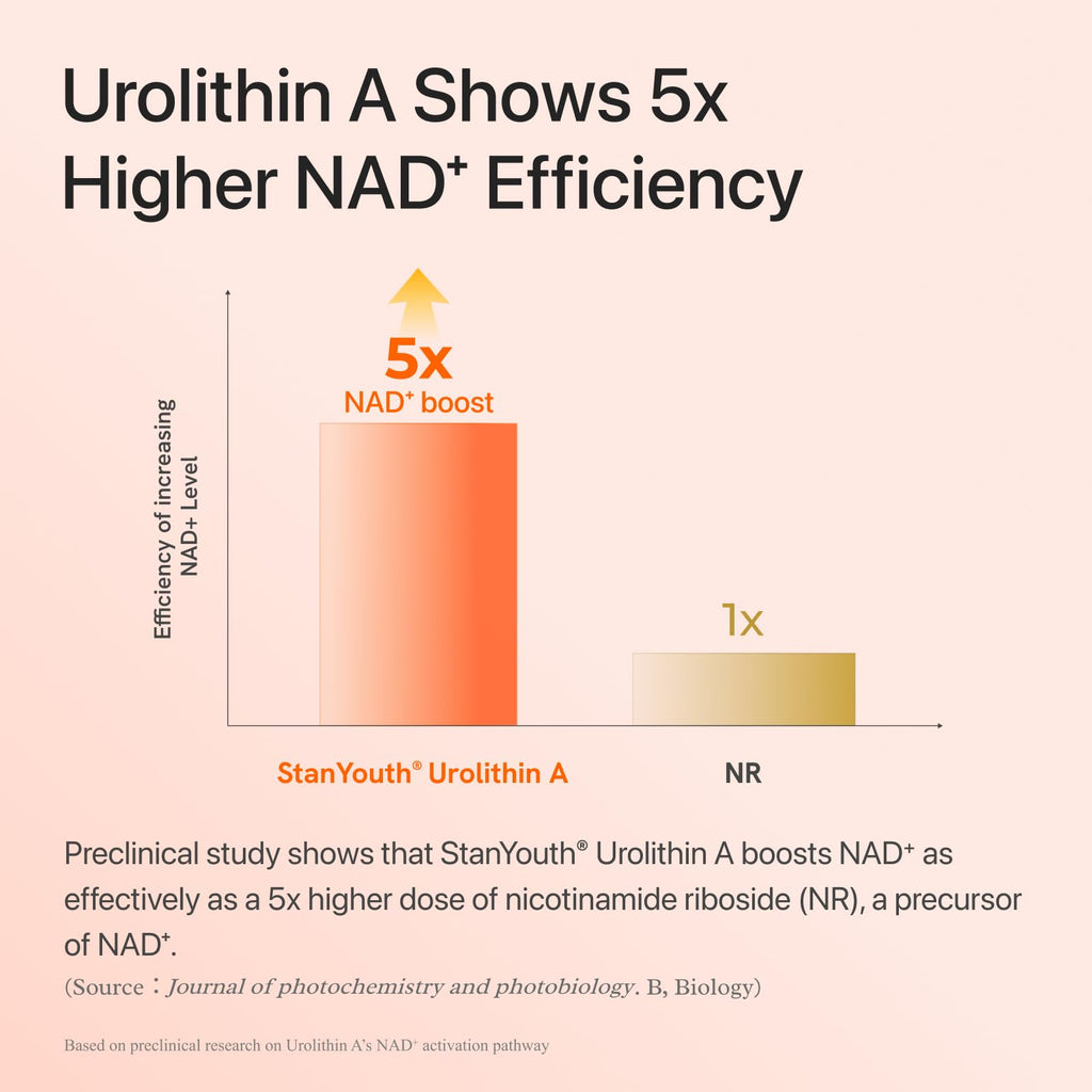 Gynable Urolithin A multivitamin for seniors