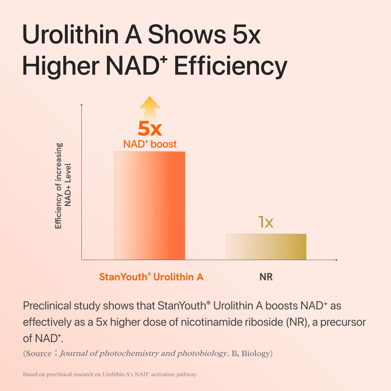 Gynable Urolithin A multivitamin for seniors