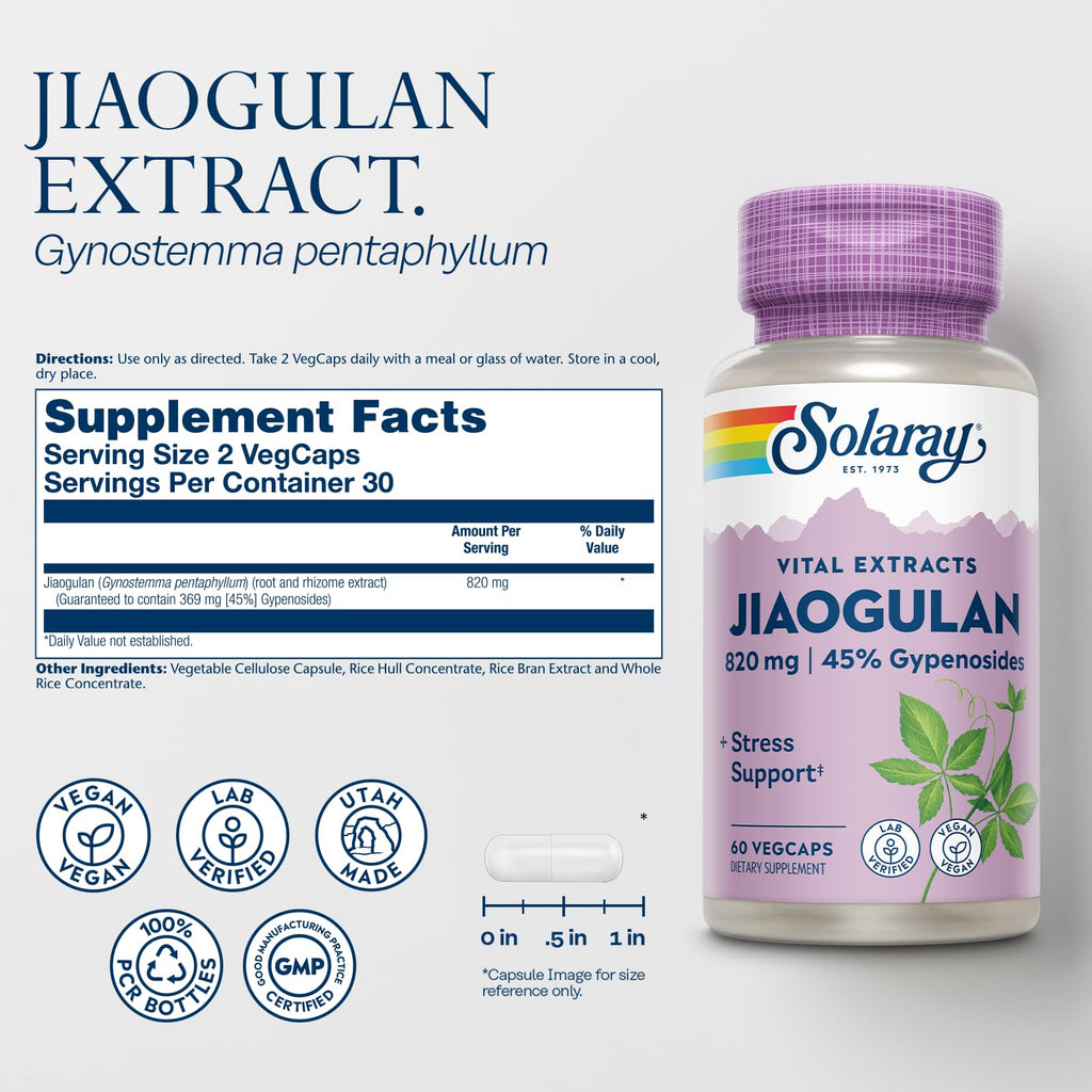 Gynostemma Pentaphyllum root extract capsules