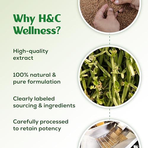 H&C cissus quadrangularis for active lifestyle