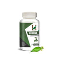 H&C Herbal Gymnema Sylvestre capsules