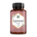 H&C Herbal Gymnema Sylvestre capsules