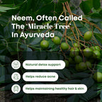 H&C herbal neem powder benefits
