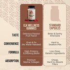 hair skin nails collagen support