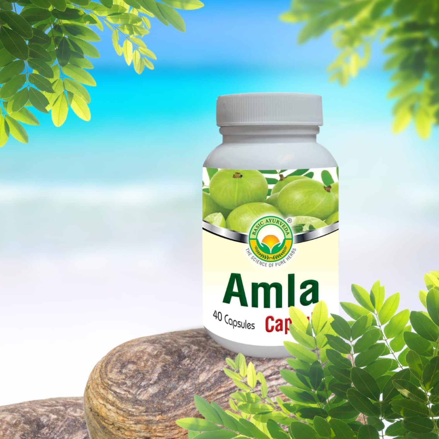 hair vitality from Amla capsules