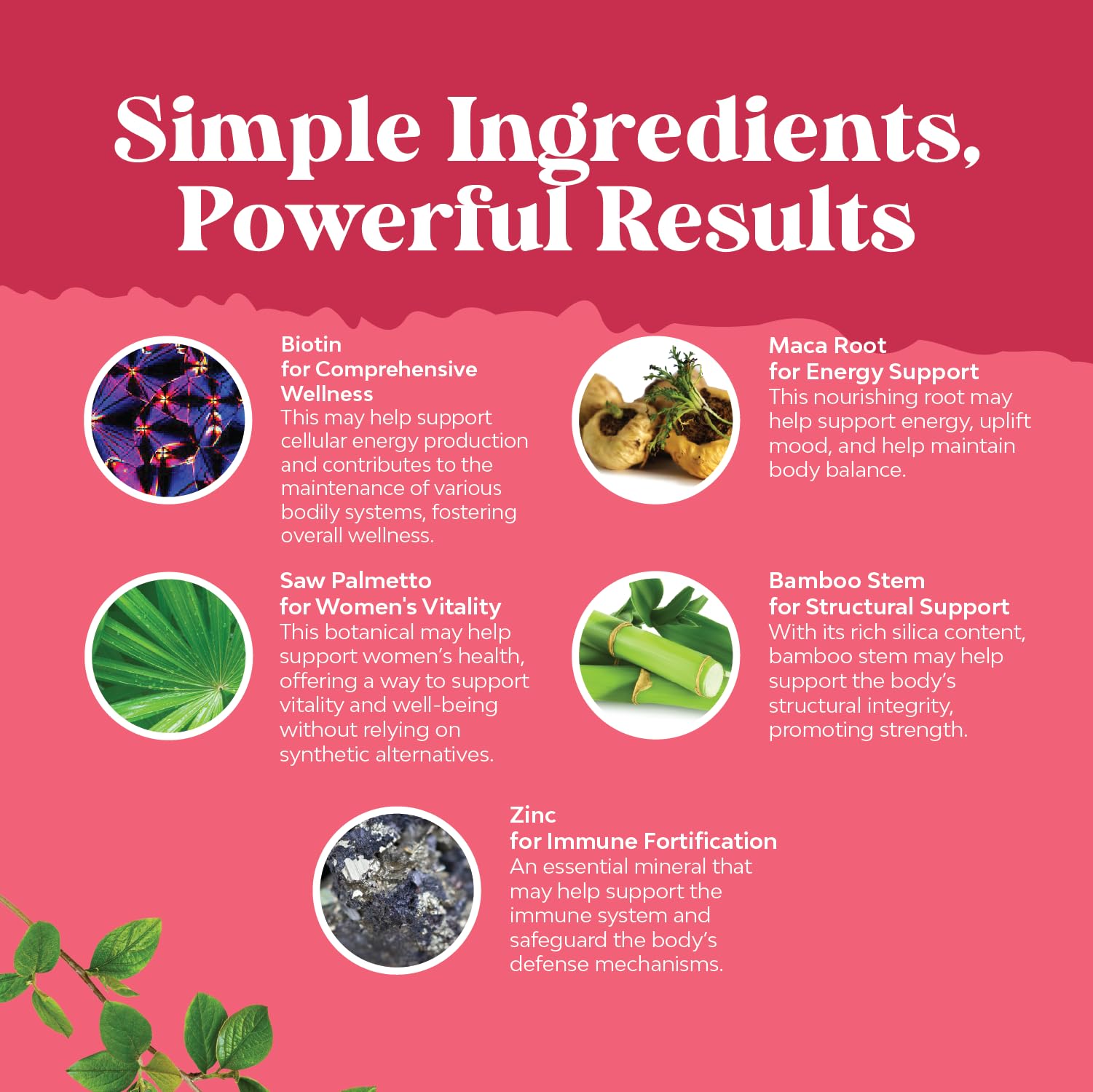 hair wellness with saw palmetto extract