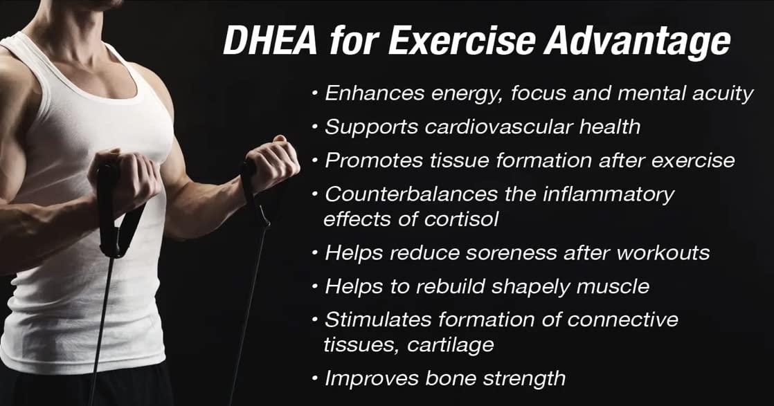 Halcyon DHEA health supplement benefits