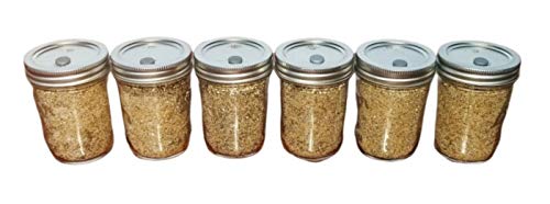 half pint jars for mushroom cultivation