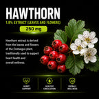 Hampstead Labs vein support formula