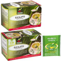 Hanan eucalyptus herbal tea bags