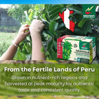 Hanan herbal tea for digestive health