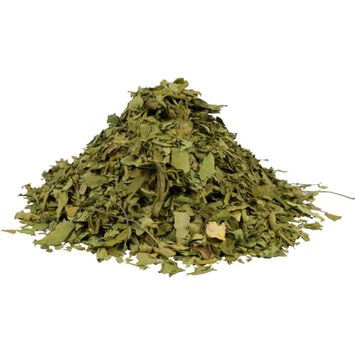 Hanan Moringa tea for immune support