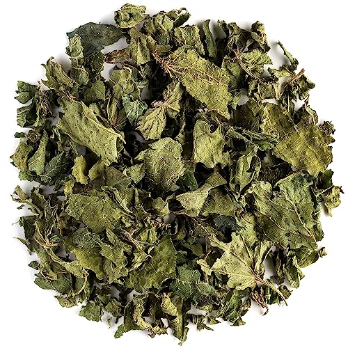 hand-harvested nettle for infusion