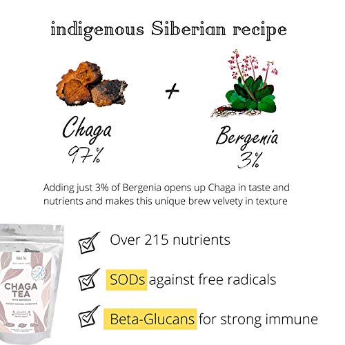 hand-picked chaga from Siberia